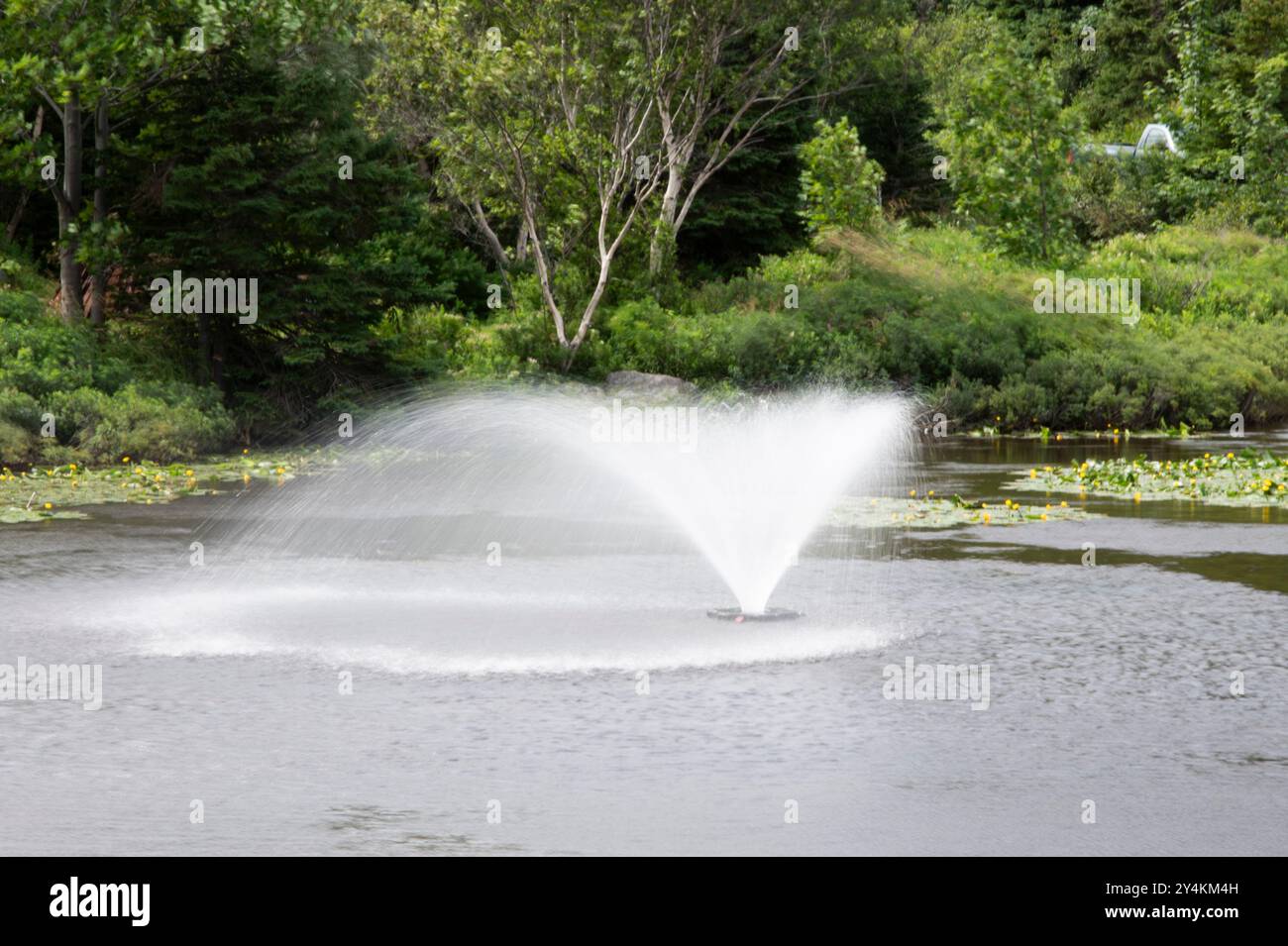 Water fountain in a pond at the beach on Conception Bay highway in ...