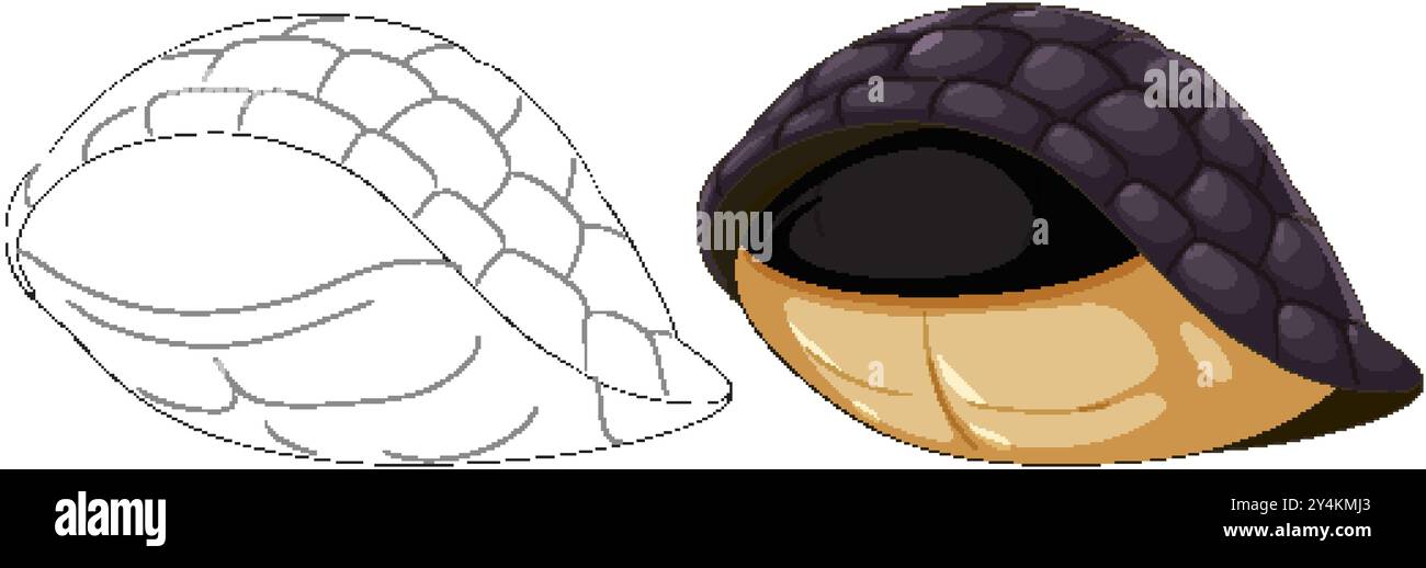 Vector illustration of a detailed animal shell Stock Vector Image & Art ...