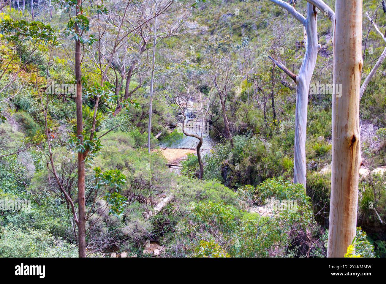 Photograph of Popes Glen Creek flowing through the Grose Valley near ...