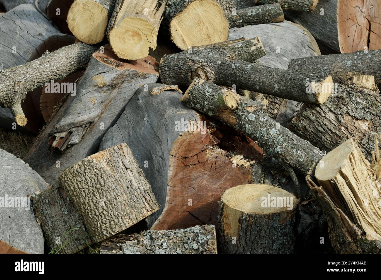 Wood stockpile, logs in untidy heap, collection of wooden objects, pile ...