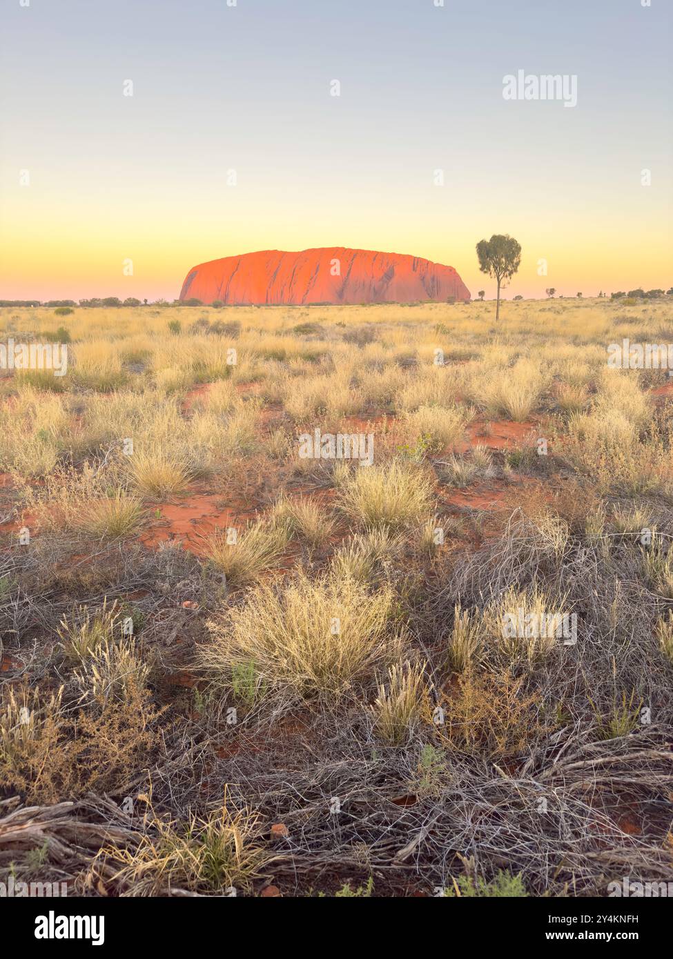 Uluru (Ayers Rock) at sunset, Uluṟu-Kata Tjuṯa National Park, Northern ...