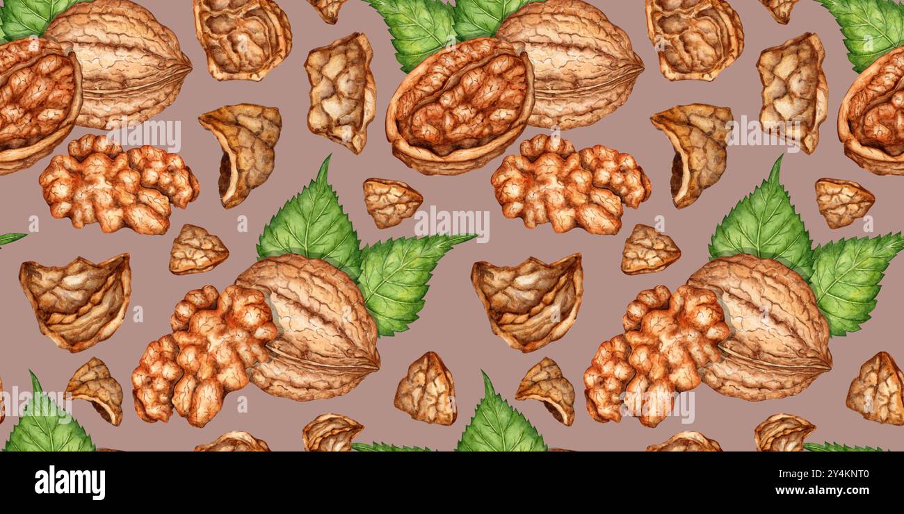 Watercolor illustration of walnuts, pattern on a brown background ...