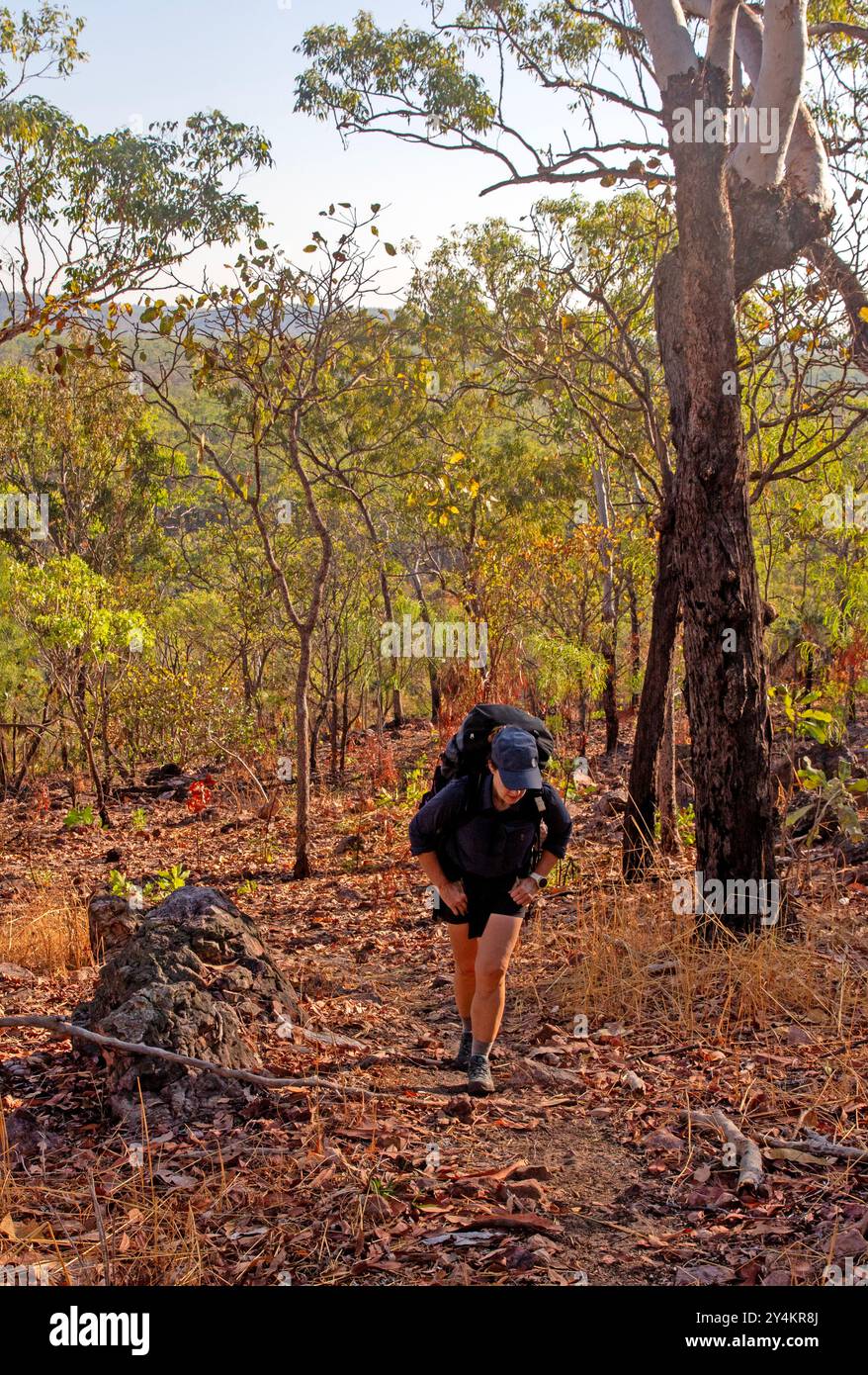 Tabletop track hi-res stock photography and images - Alamy