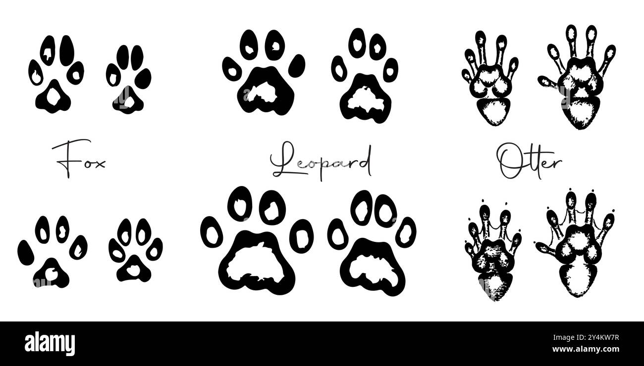 Pig hoof print Cut Out Stock Images & Pictures - Alamy