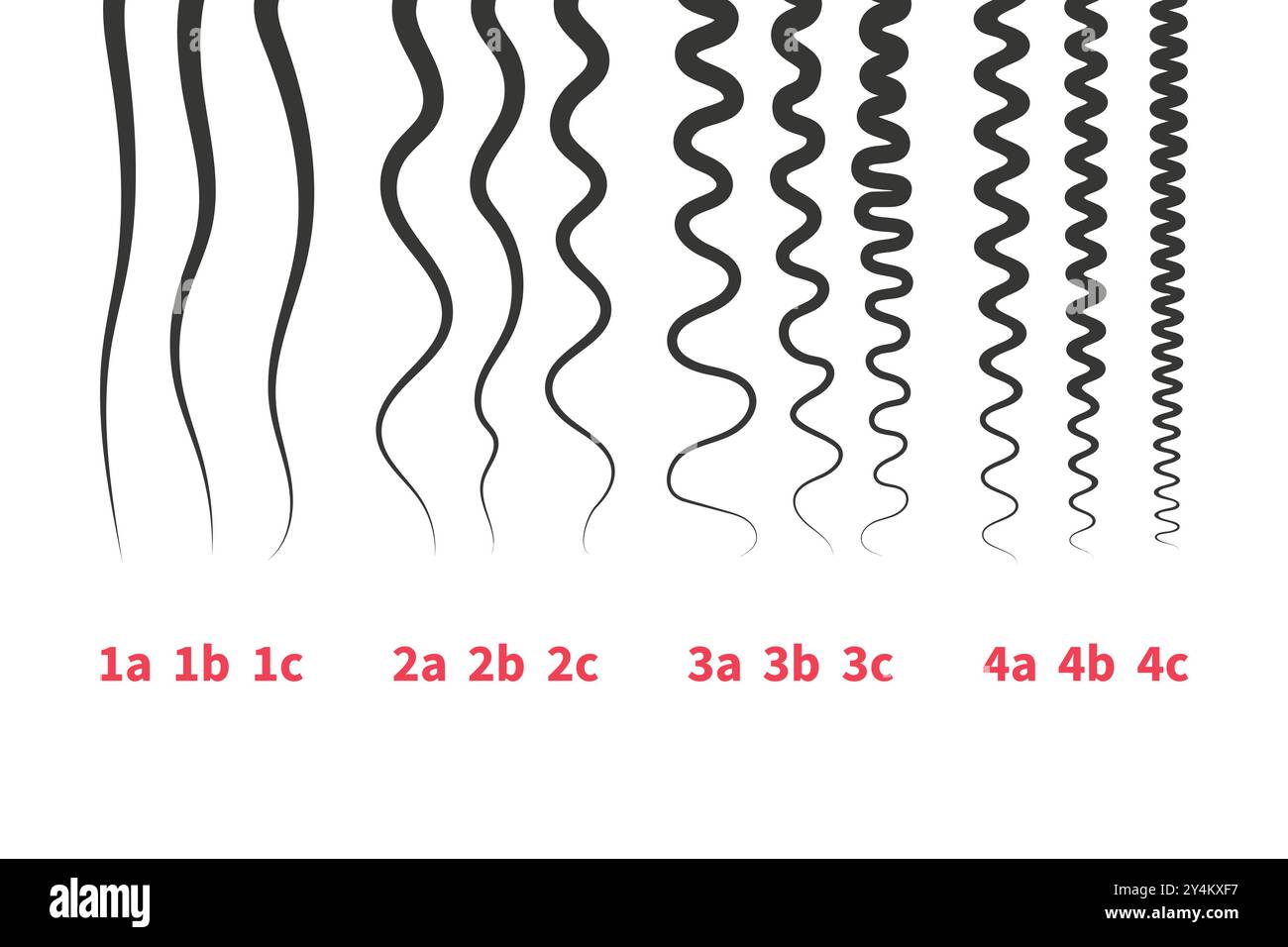 Detailed hair types chart set of strands growth patterns Stock Vector ...