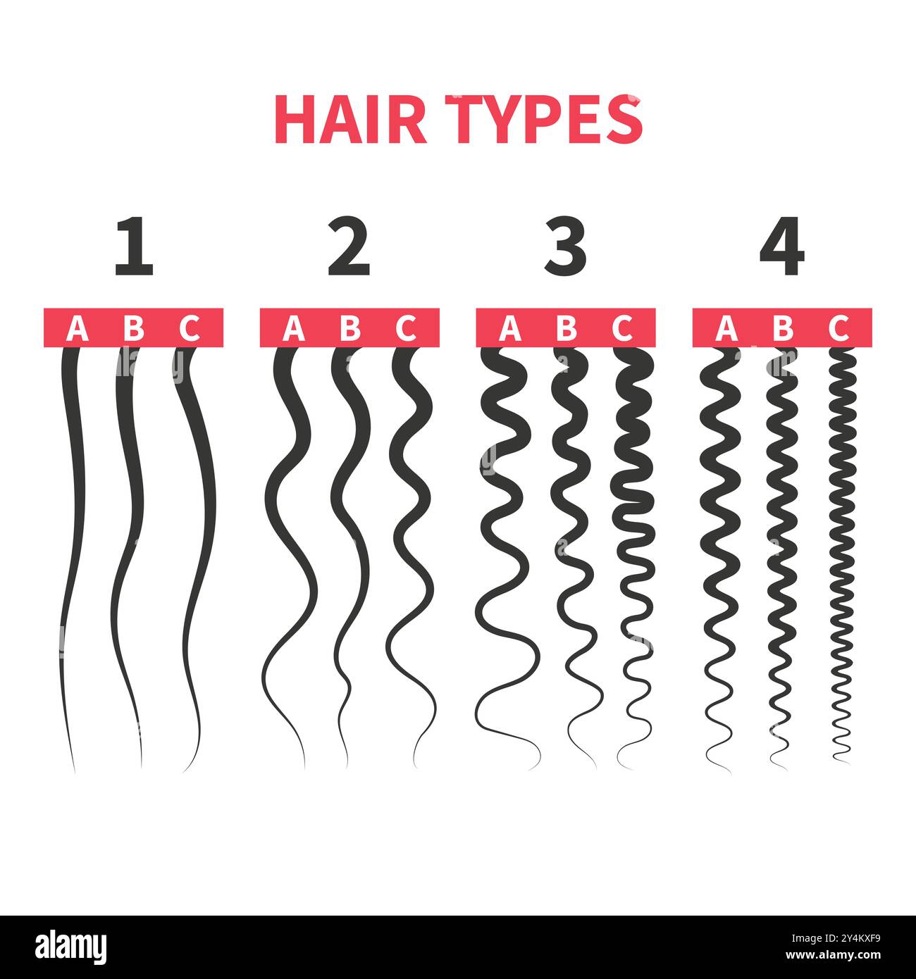 Detailed hair types chart set of strands growth patterns Stock Vector ...