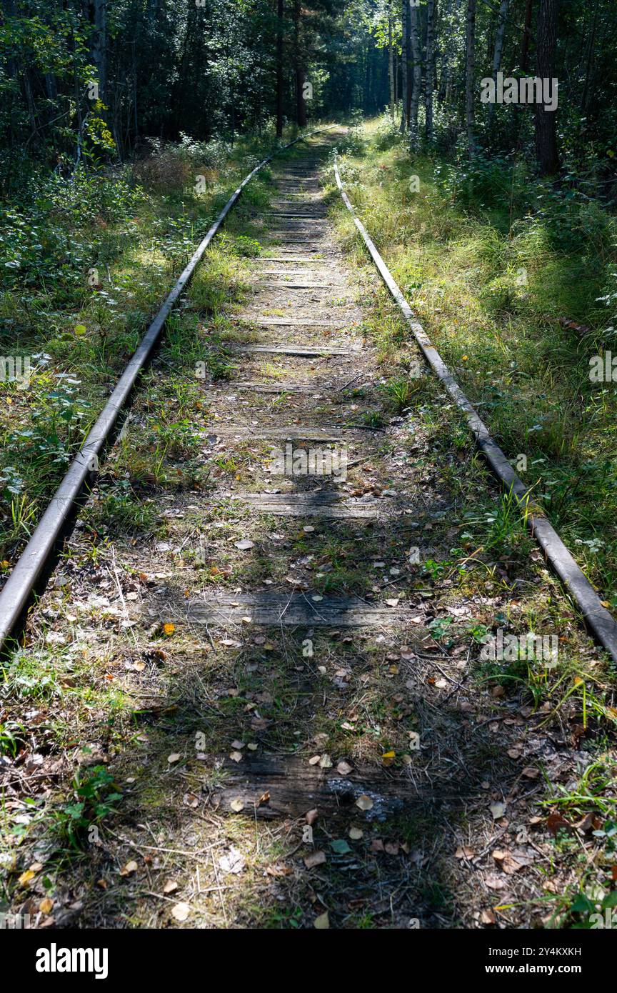 Old train tracks now working as trail for walking Stock Photo - Alamy
