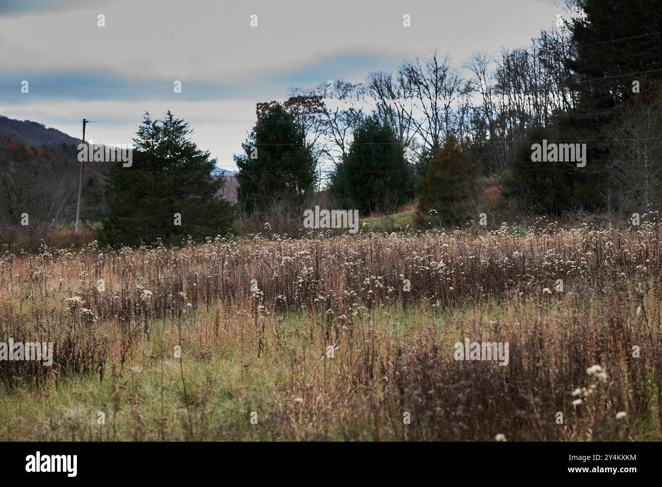 Monterey, VA, USA Stock Photo - Alamy