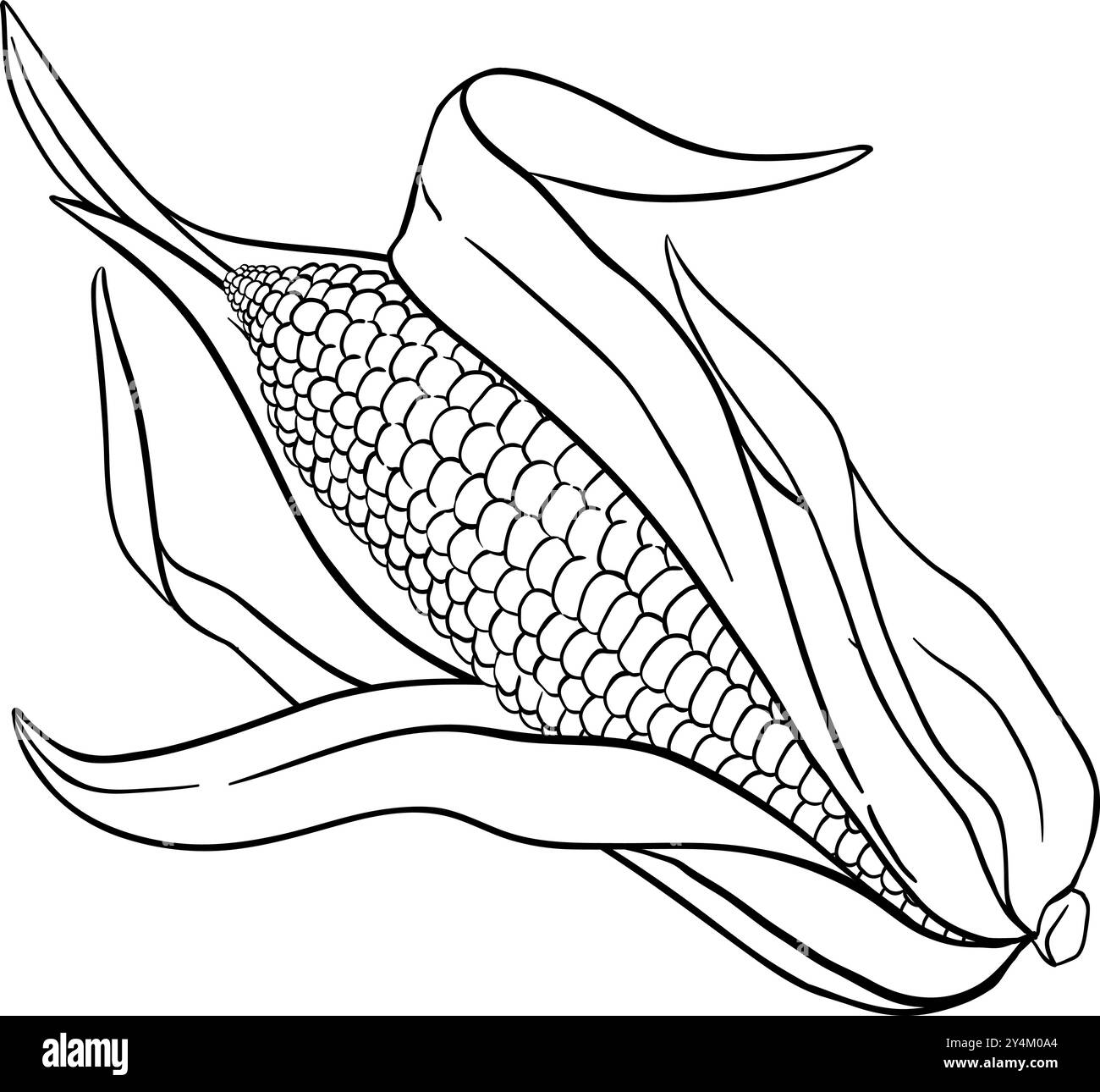 Corn on the Cob Outline Illustration Stock Vector Image & Art - Alamy