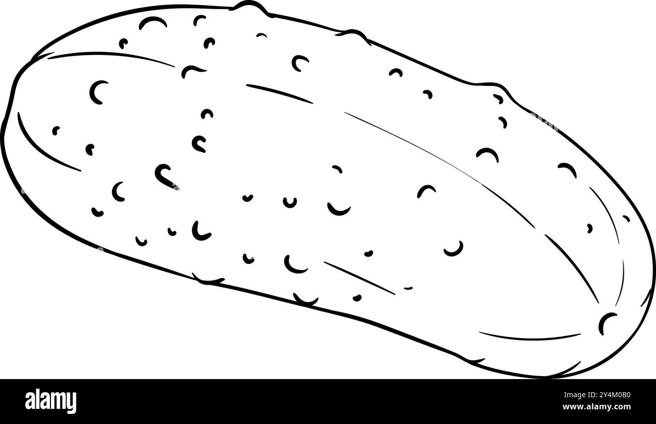 Cucumber Vegetable Isolated Outline Illustration Stock Vector Image ...