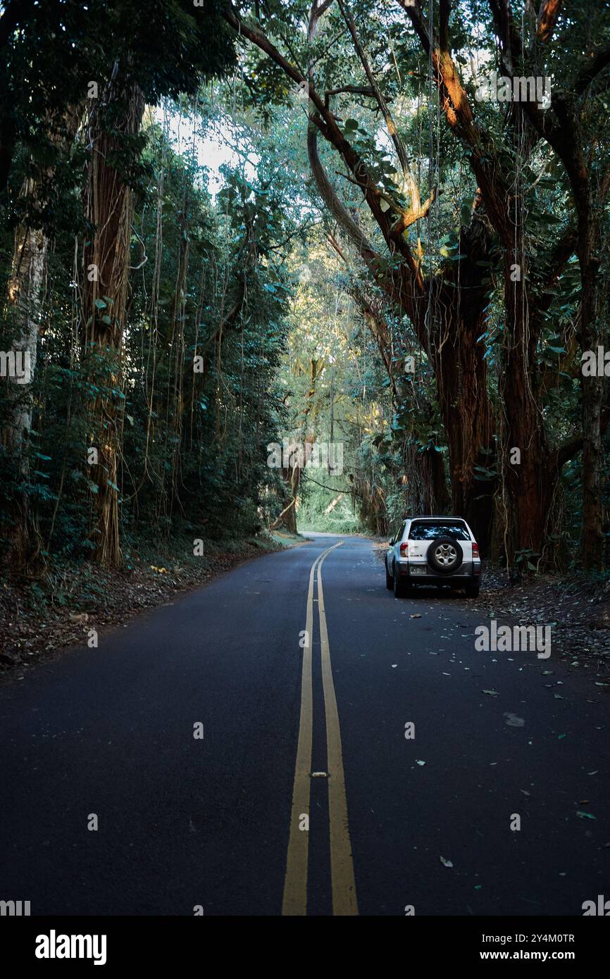 Oahu, Hawaii, features lush forests and scenic beaches, but struggles ...