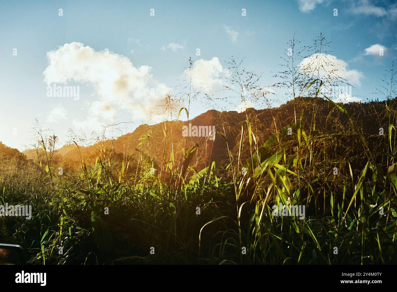 Oahu, Hawaii, features lush forests and scenic beaches, but struggles ...