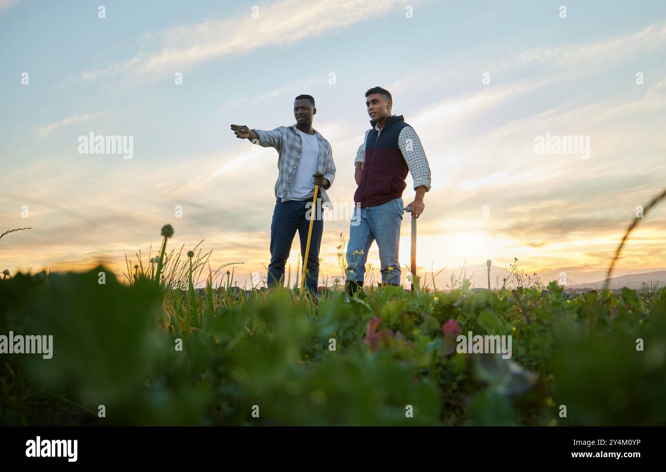 Farmer, men and collaboration on farm for sustainability, agriculture ...