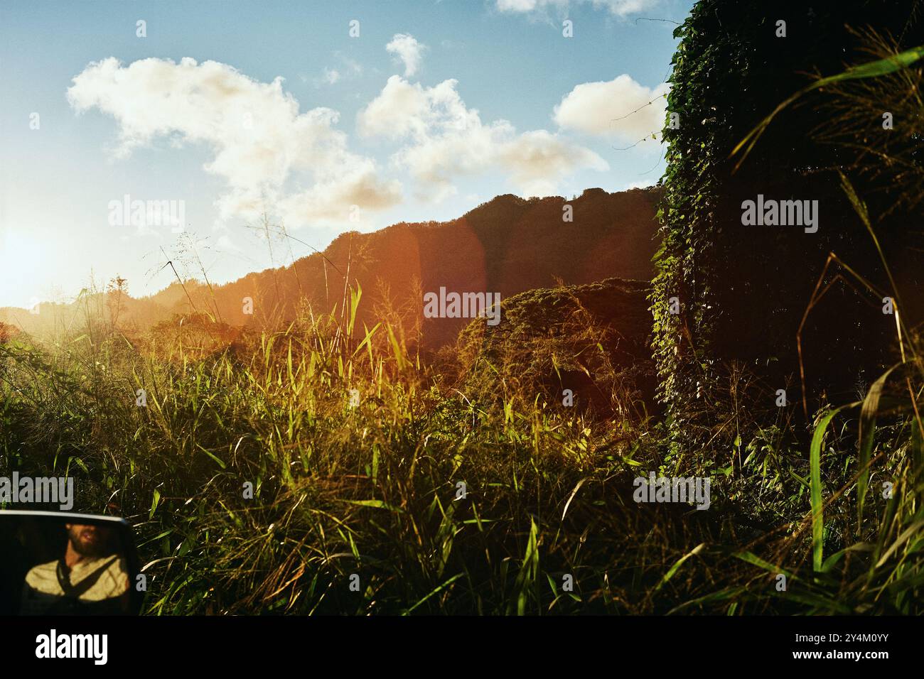 Oahu, Hawaii, features lush forests and scenic beaches, but struggles ...