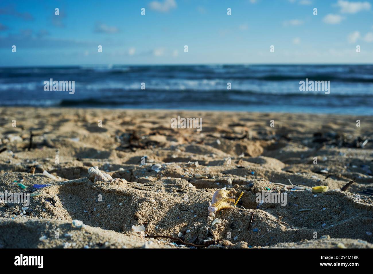 Oahu, Hawaii, features lush forests and scenic beaches, but struggles ...