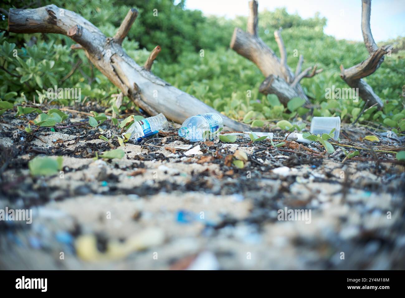 Oahu, Hawaii, features lush forests and scenic beaches, but struggles ...