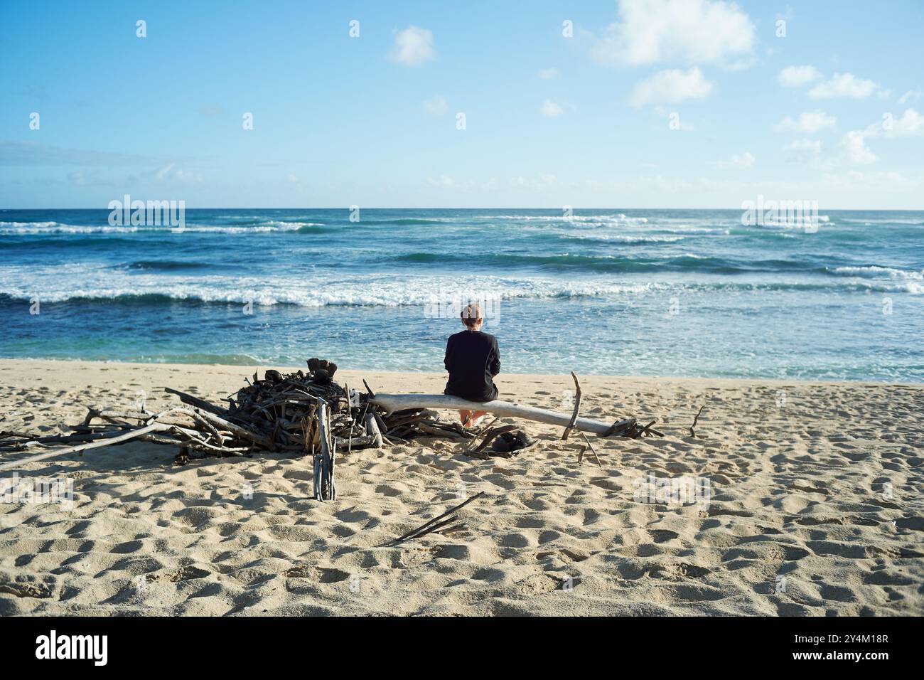 Oahu, Hawaii, features lush forests and scenic beaches, but struggles ...