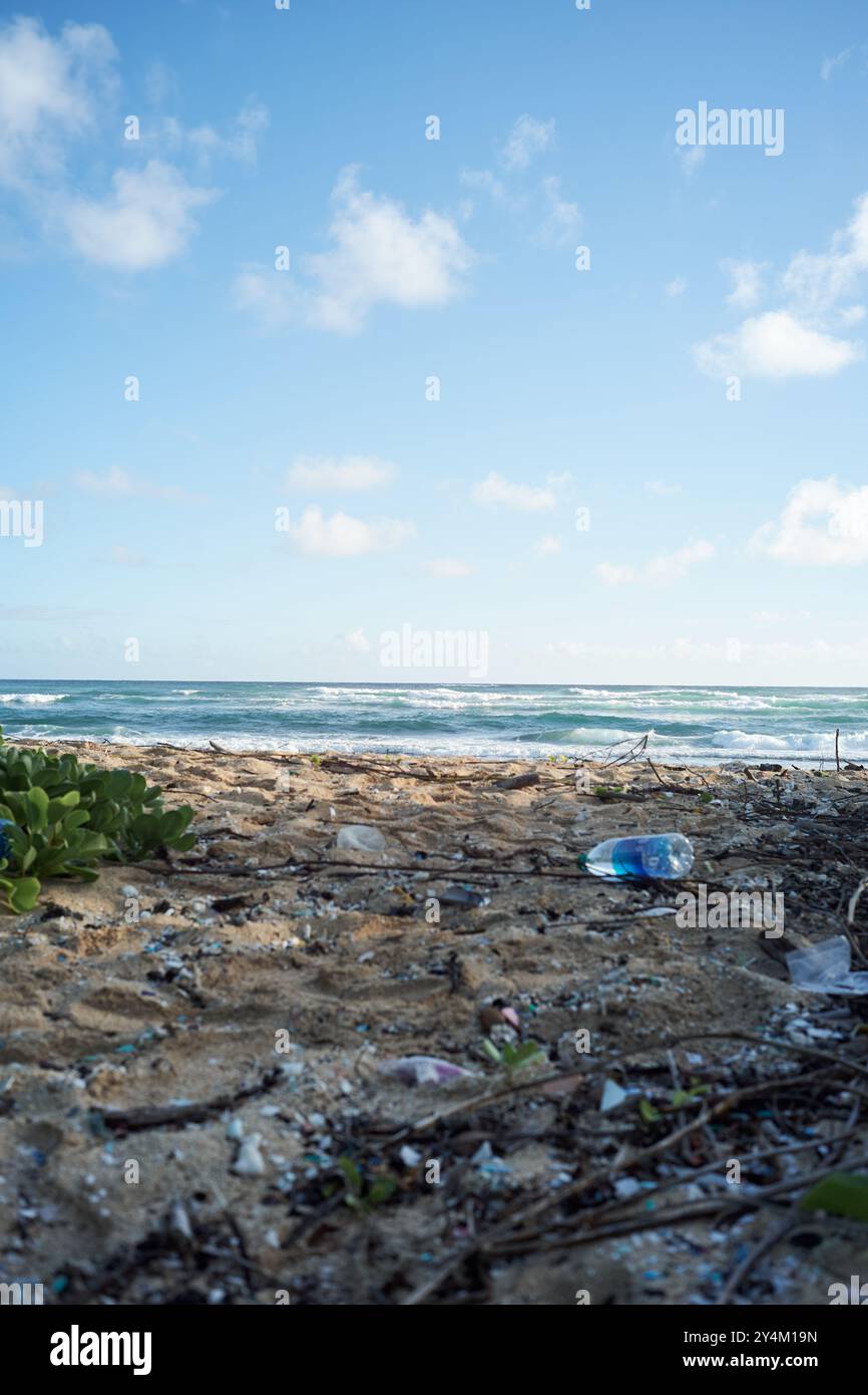 Oahu, Hawaii, features lush forests and scenic beaches, but struggles ...