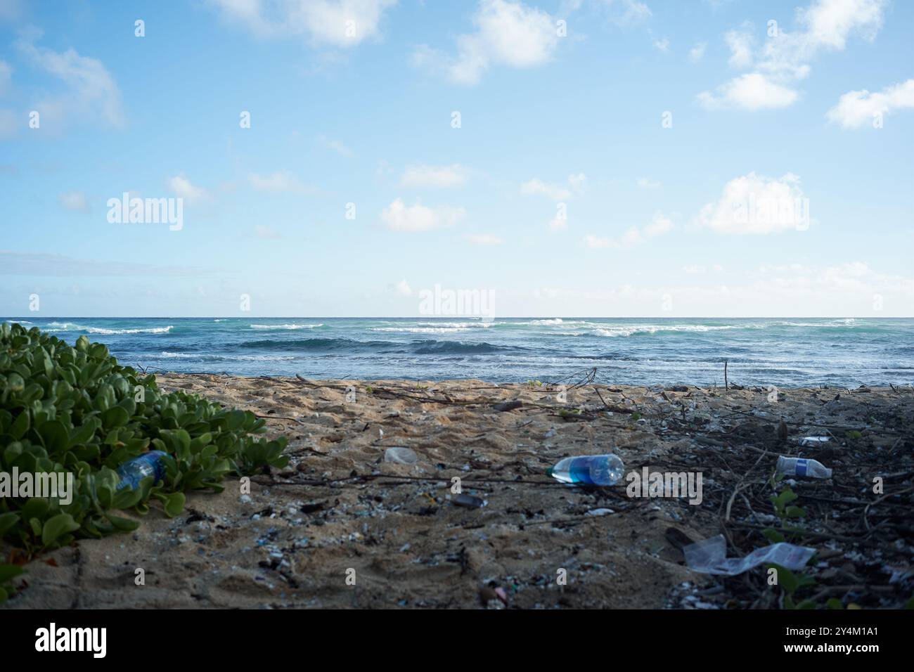 Oahu, Hawaii, features lush forests and scenic beaches, but struggles ...