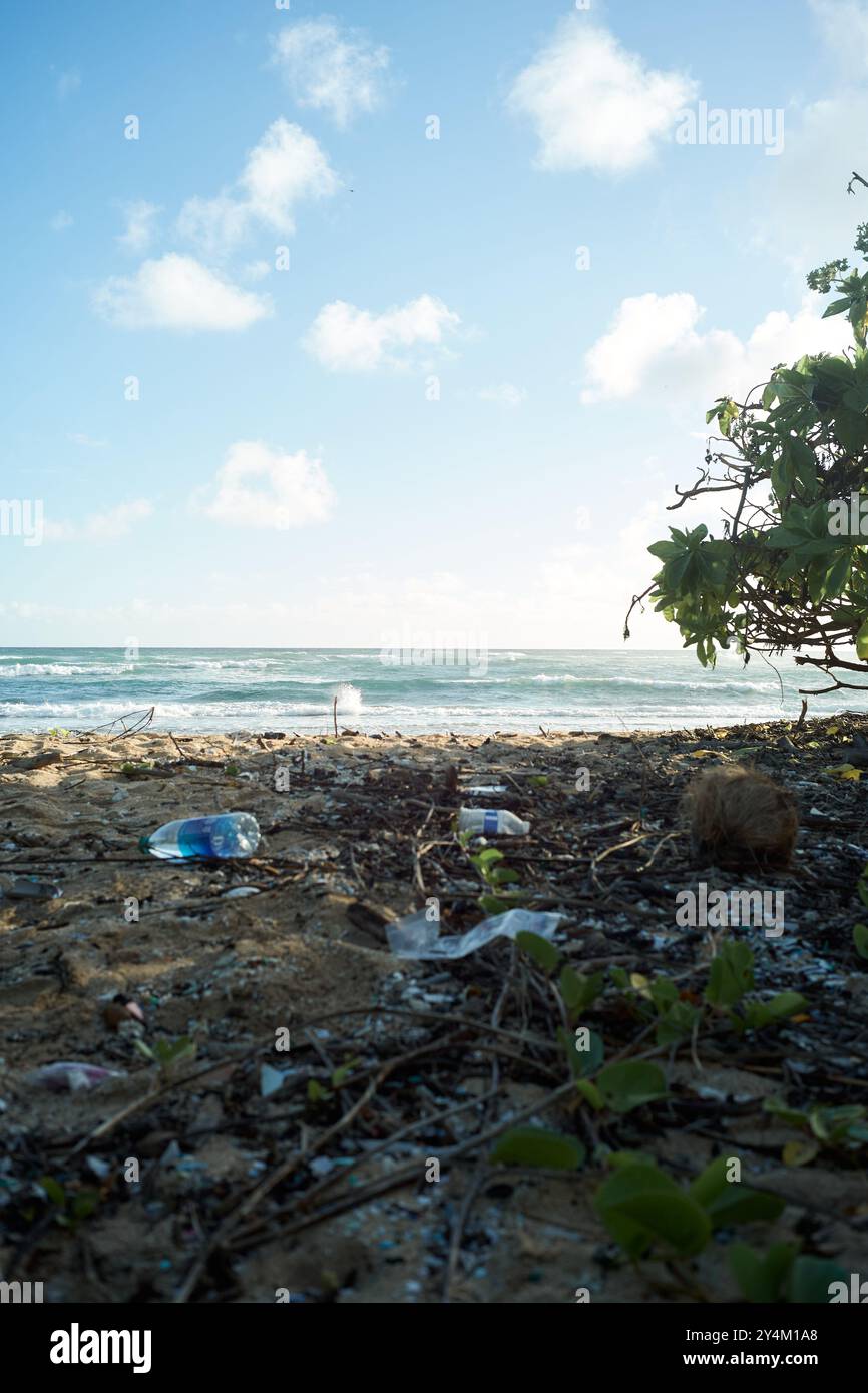 Oahu, Hawaii, features lush forests and scenic beaches, but struggles ...