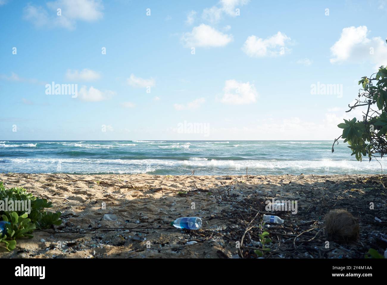 Oahu, Hawaii, features lush forests and scenic beaches, but struggles ...