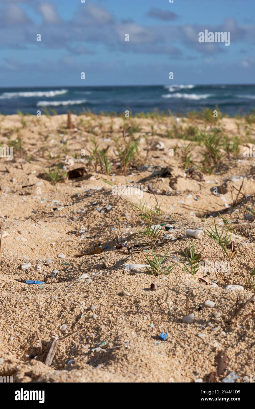 Oahu, Hawaii, features lush forests and scenic beaches, but struggles ...