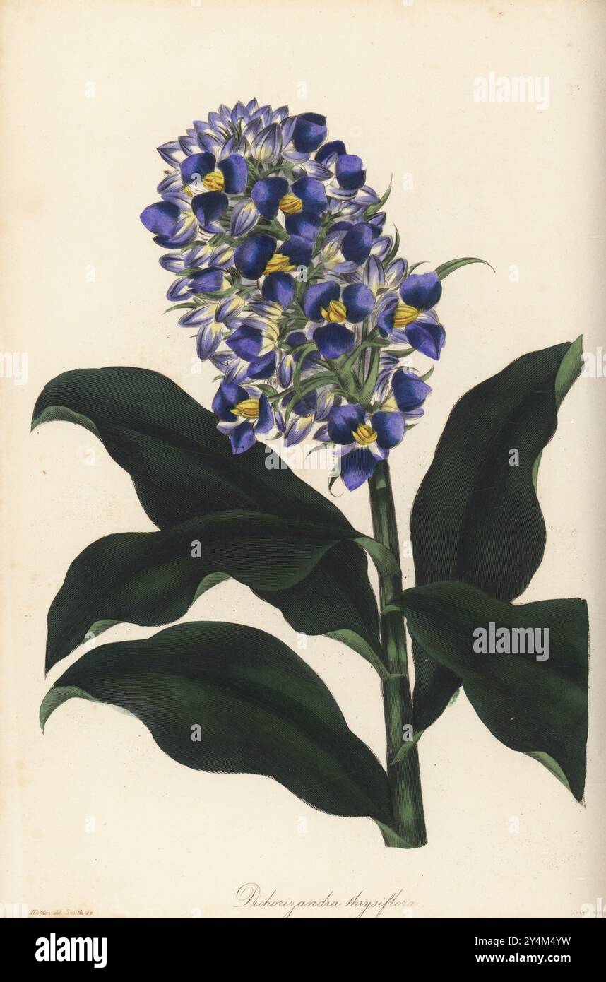 Mikan art hi-res stock photography and images - Alamy