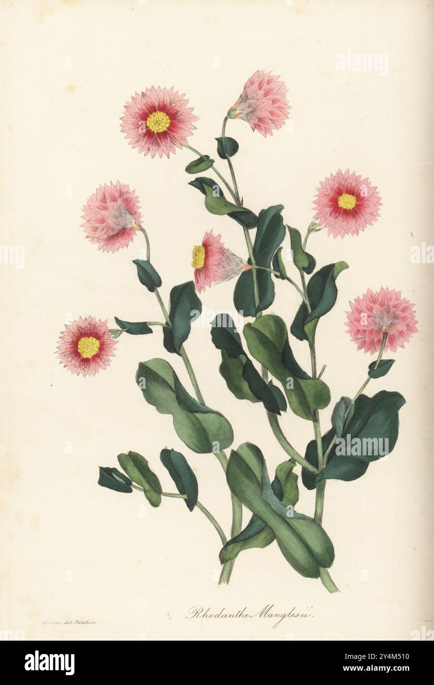 Joseph w. swan hi-res stock photography and images - Alamy