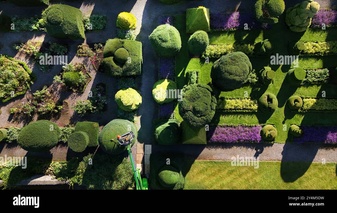 The trimming of the world's oldest topiary gets underway at Levens Hall ...