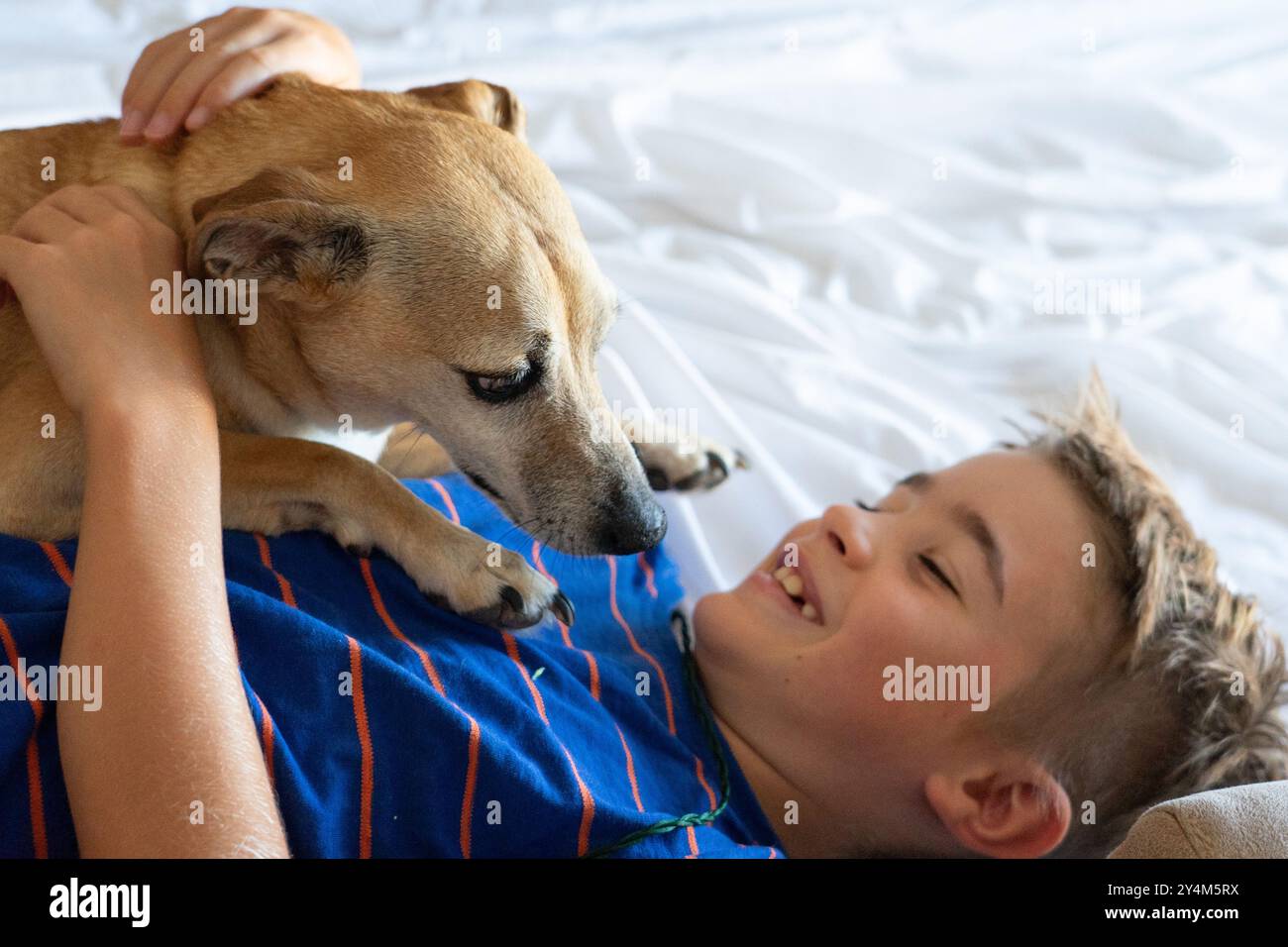 Boy playing with his dog and laughing Stock Photo - Alamy