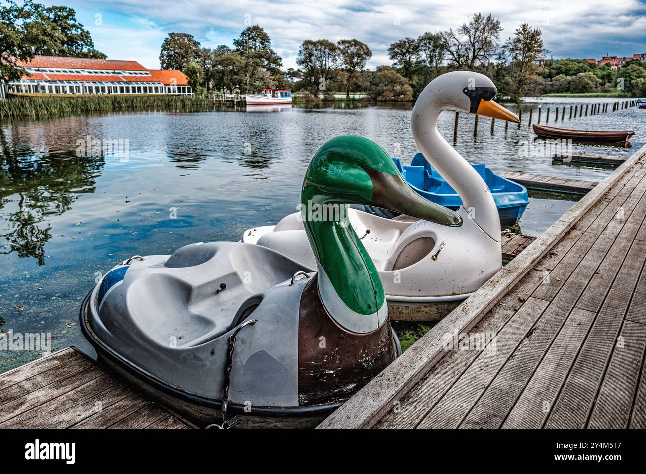 Medieval Bible garden duck and swan boats in Viborg old town in Denmark ...