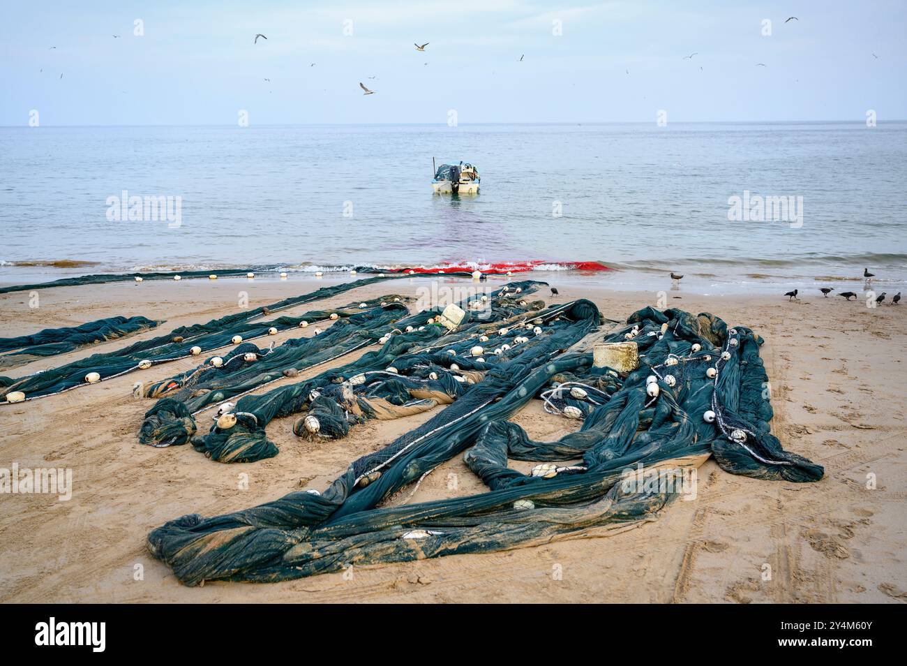 Fishing nets are laid out on the sandy shore of the Gulf of Oman on the ...