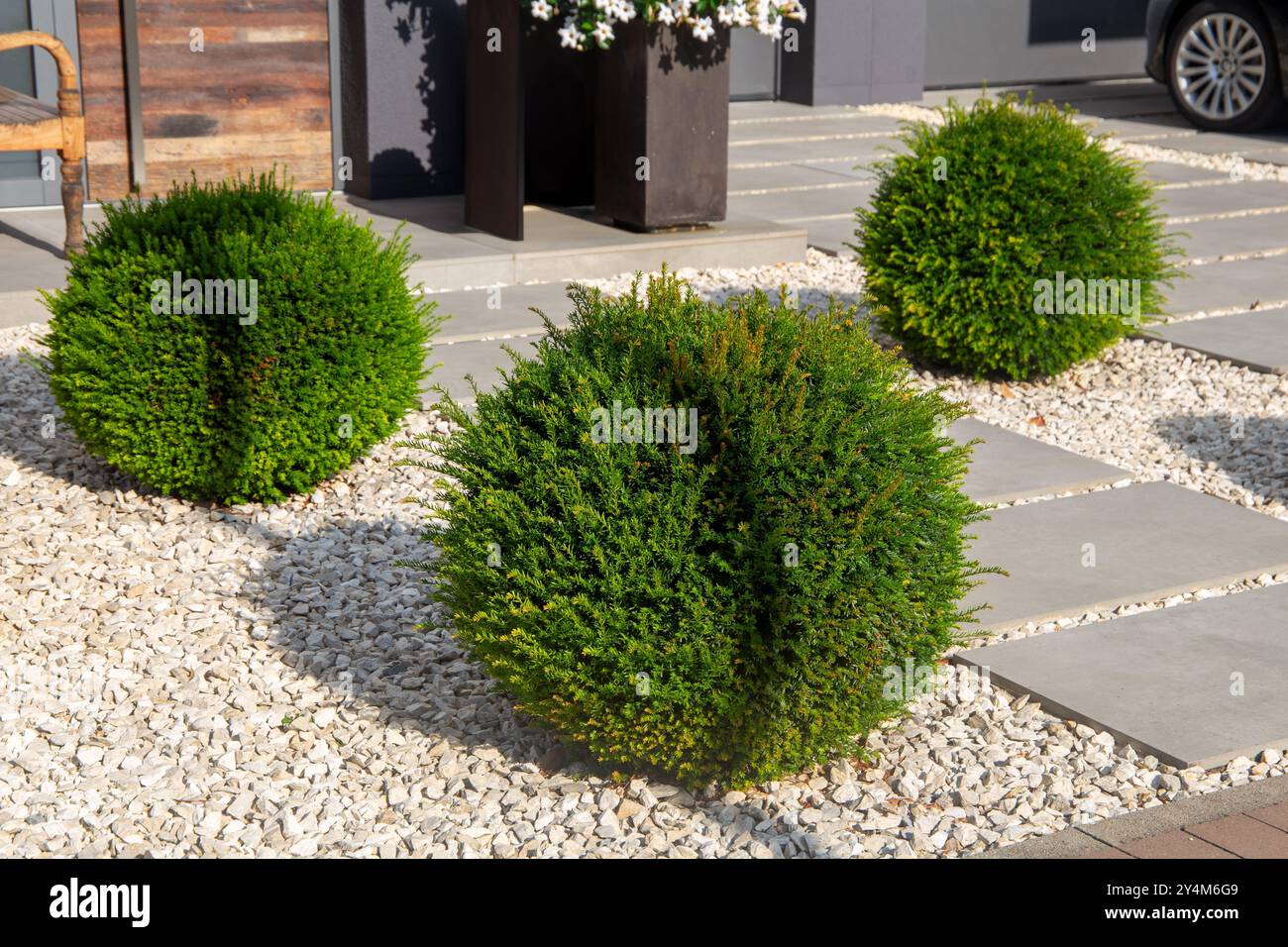 Modern front garden with ornamental chippings, paving slabs and plants ...