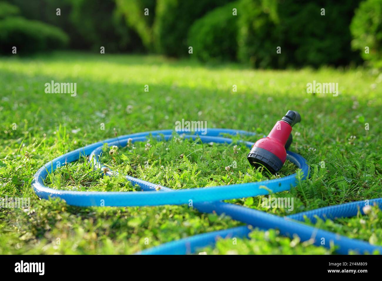 Light blue hose on lawn in backyard, closeup Stock Photo - Alamy