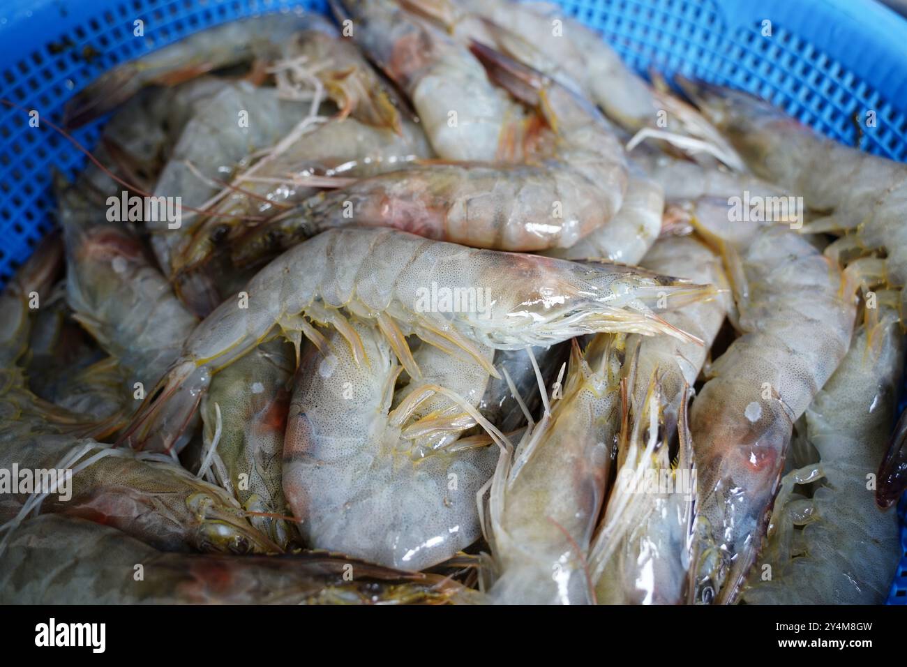 Meat fresh on wet market hi-res stock photography and images - Alamy