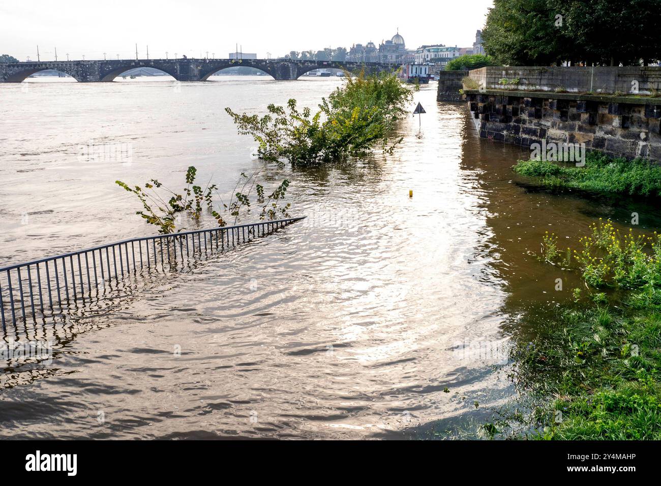 19.09.2024 Die Hochwasser-Situation in Dresden DasTerrassenufer mit der ...