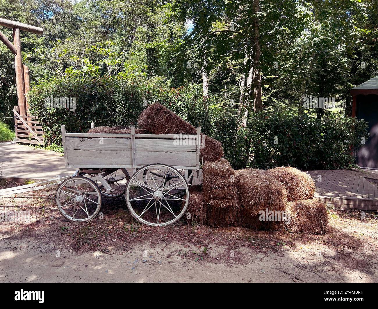 Small bales of dry hay .Harvesting hay for farm animals Stock Photo - Alamy