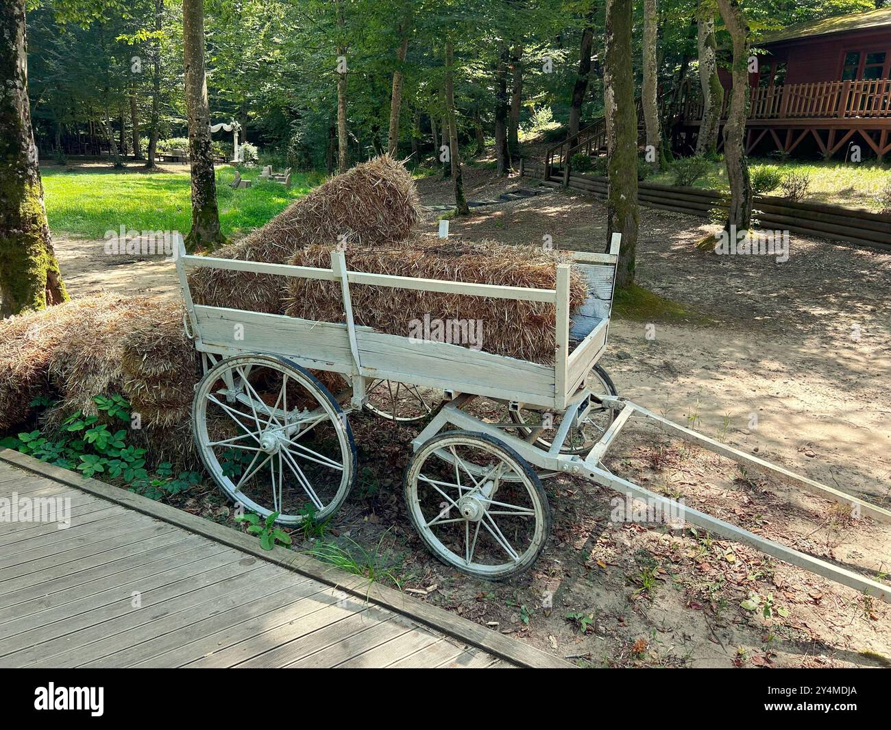 Small bales of dry hay .Harvesting hay for farm animals Stock Photo - Alamy