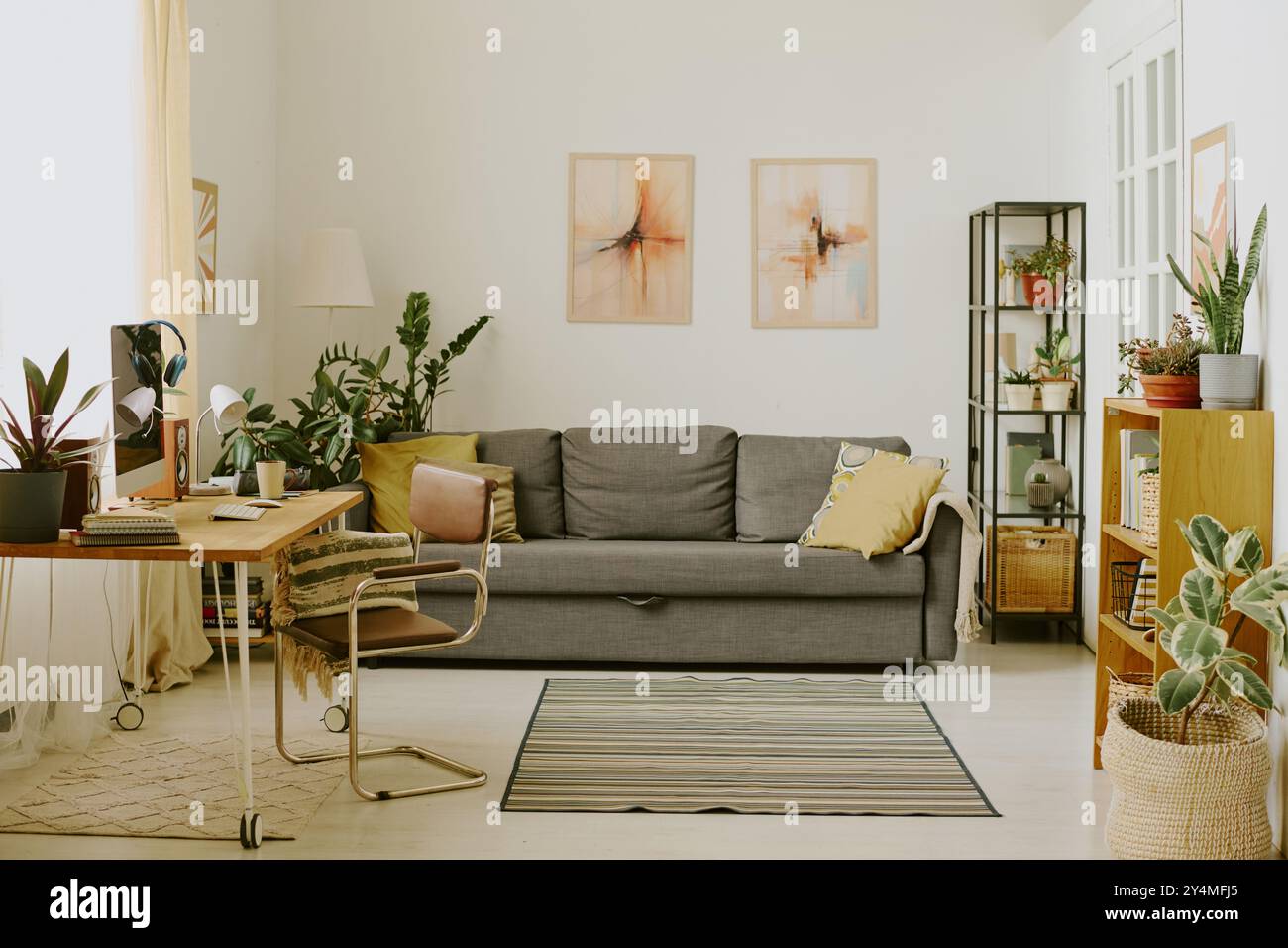 Cozy living room with different types of houseplants in pots, room made ...