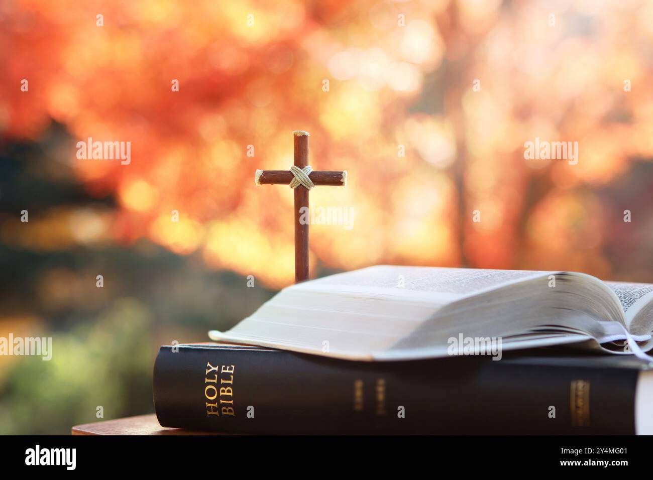 Holy Cross of Jesus Christ and Bible, Autumn landscape with light ...
