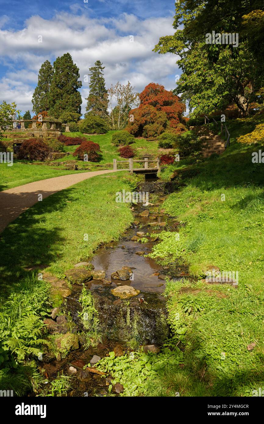 Magical glade uk hi-res stock photography and images - Alamy