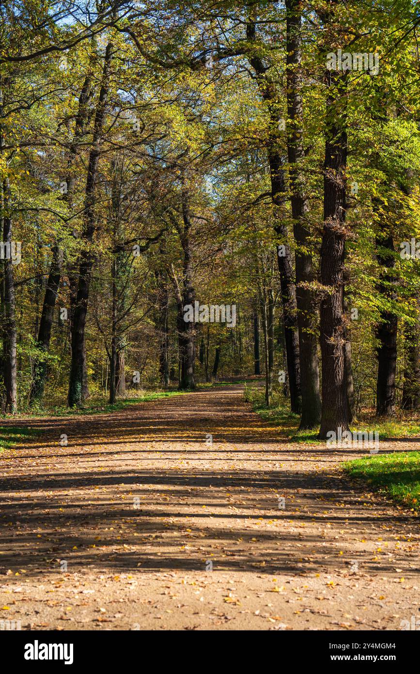 Almaty city recreation culture park hi-res stock photography and images ...
