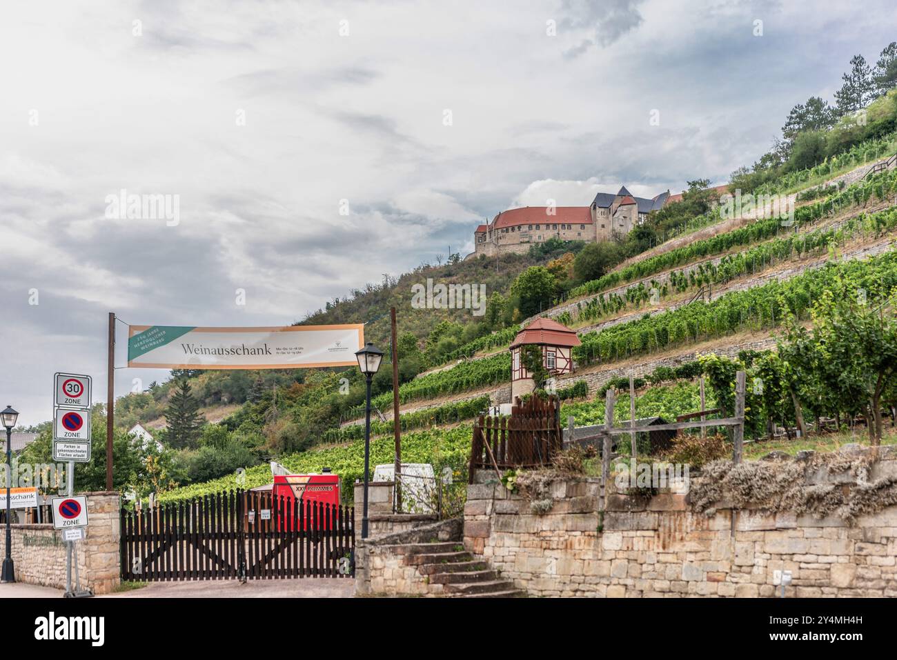 Herzoglicher vinyard (Weinberg) with Castle Neuenburg (Schloss ...
