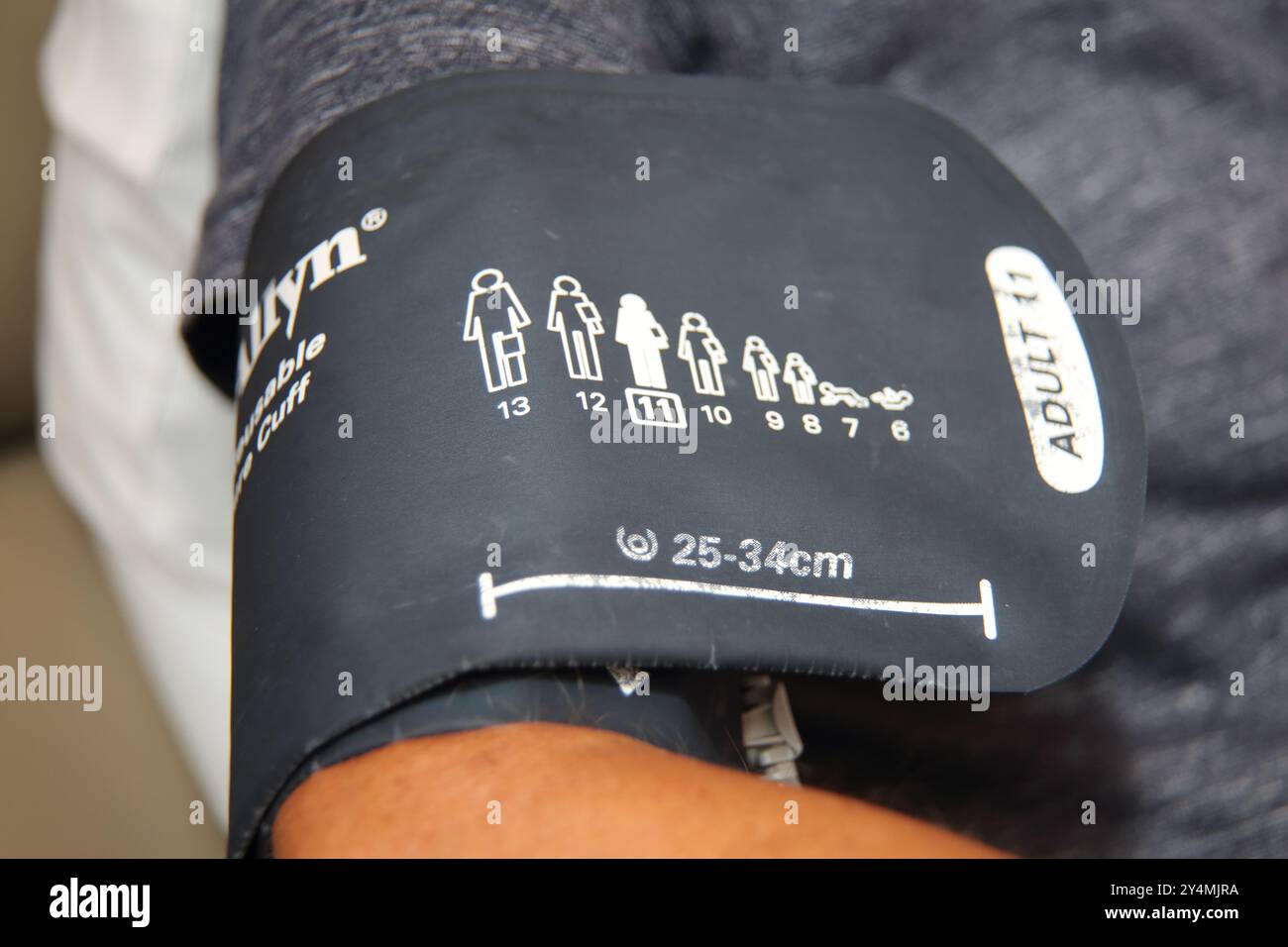 Size Guide on Blood Pressure Cuff used on Patient Size Adult 11 Surrey ...