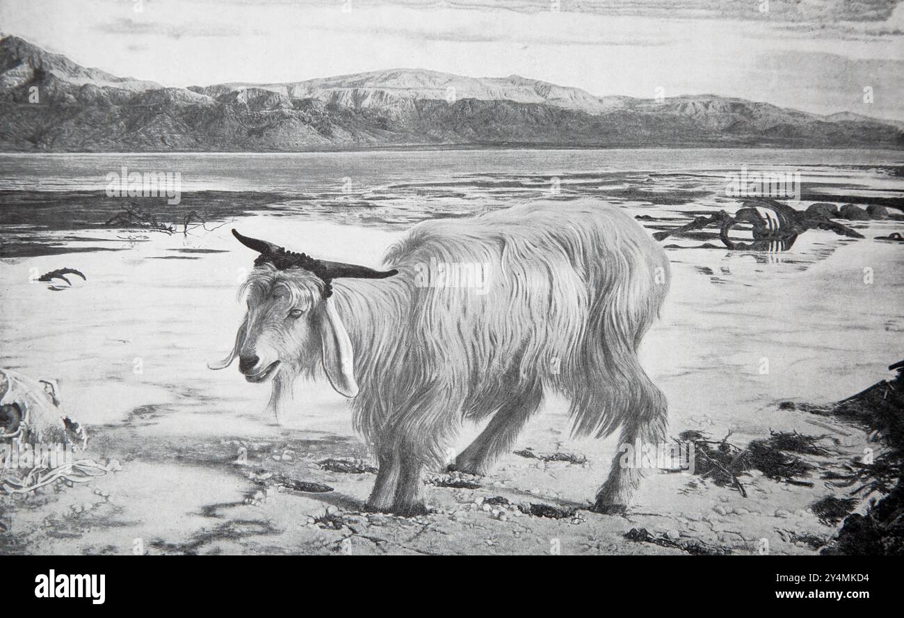 W halman hunt hi-res stock photography and images - Alamy