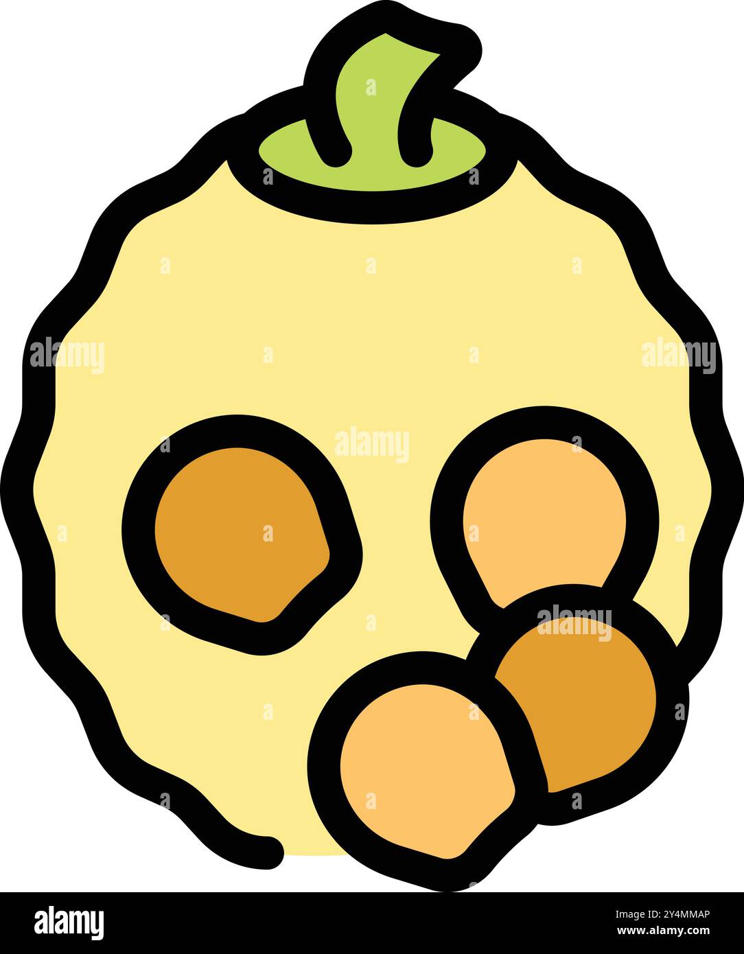 This vector icon features a jicama, a type of edible root vegetable ...