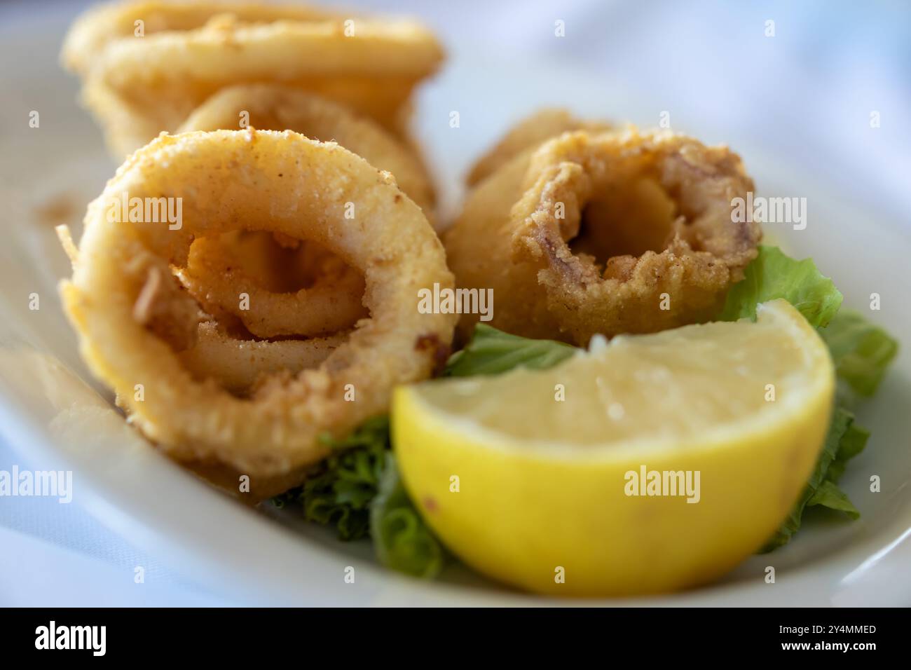 deep fried calamari dish on white background Stock Photo - Alamy