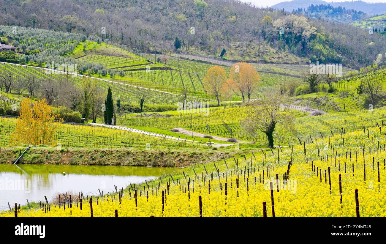 Le Balze del Valdarno, province of Arezzo, Tuscany, Italy Stock Photo ...
