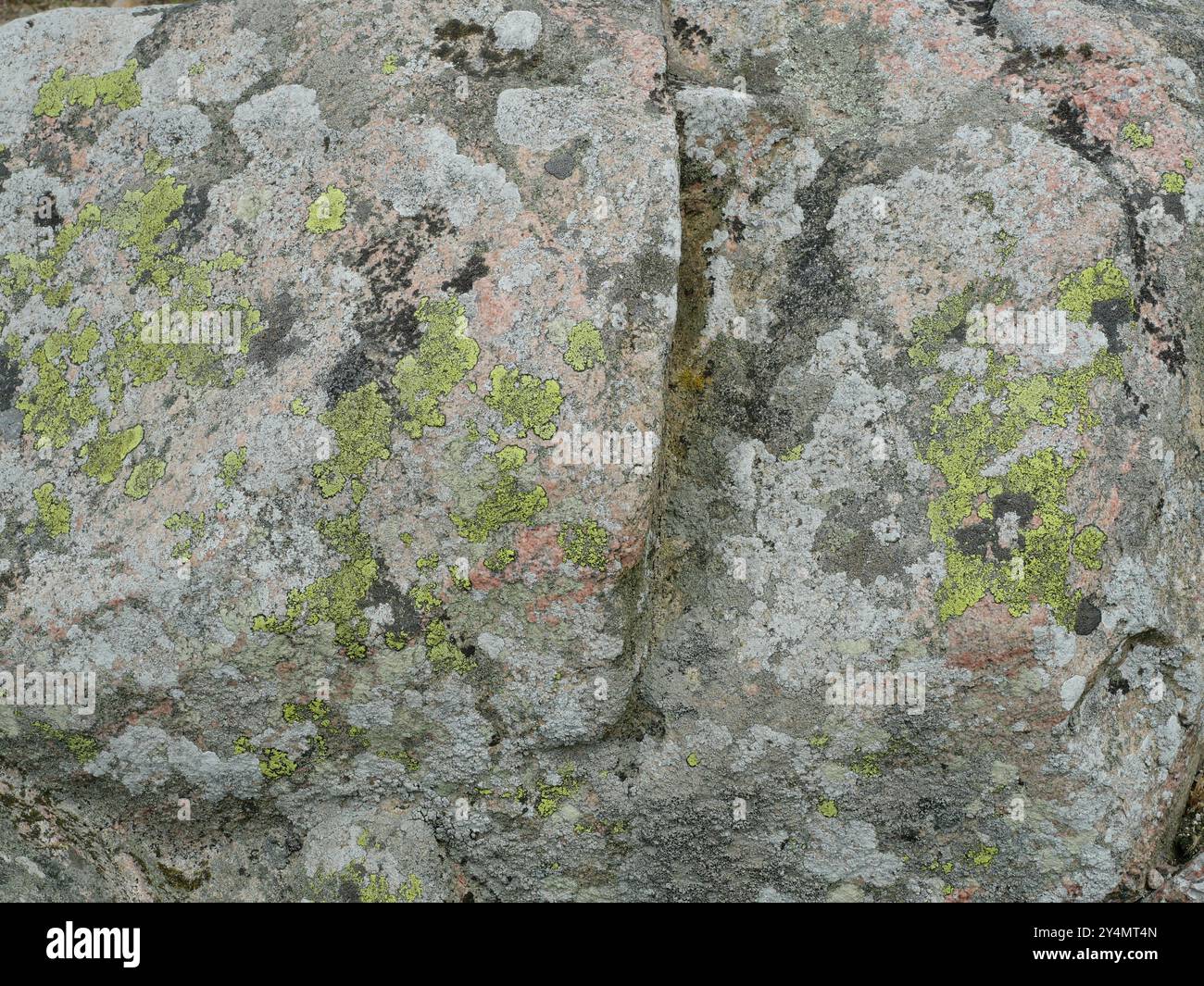 map lichen on rock formation - Boulder in the coastal area with olive ...