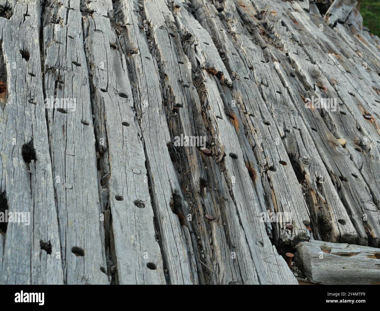 The wooden wreck of the Swiks, stranded in 1926 at Trollskagen, Öland ...